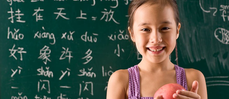 Sleepy Tigers Chinese Immersion Preschool & Daycare Near Me